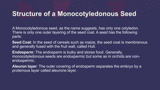 Botany: Inflorescence , Placentation & Seed .pptx