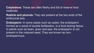 Botany: Inflorescence , Placentation & Seed .pptx
