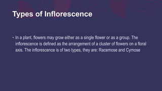 Botany: Inflorescence , Placentation & Seed .pptx