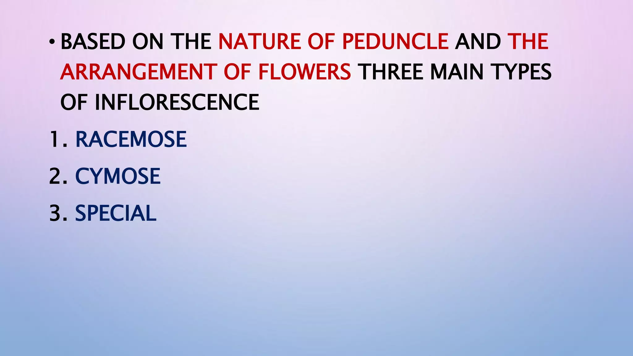 inflorescence ppt.pptx