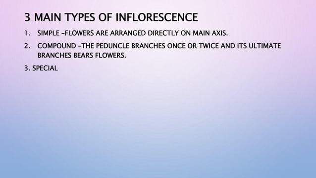 inflorescence ppt.pptx