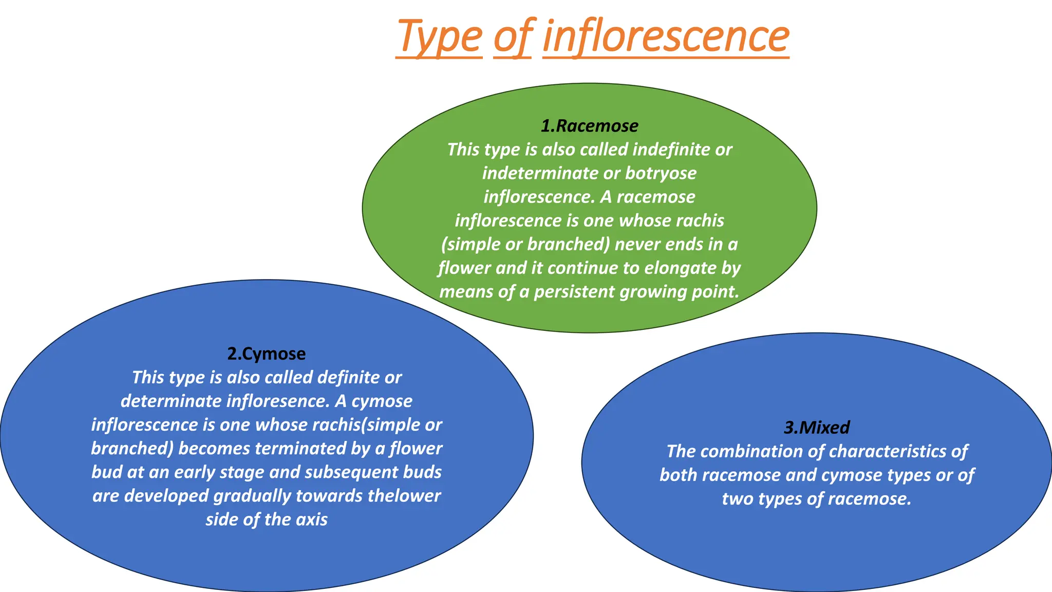inflorescence PPT by YASIR GEELANI | PPTX