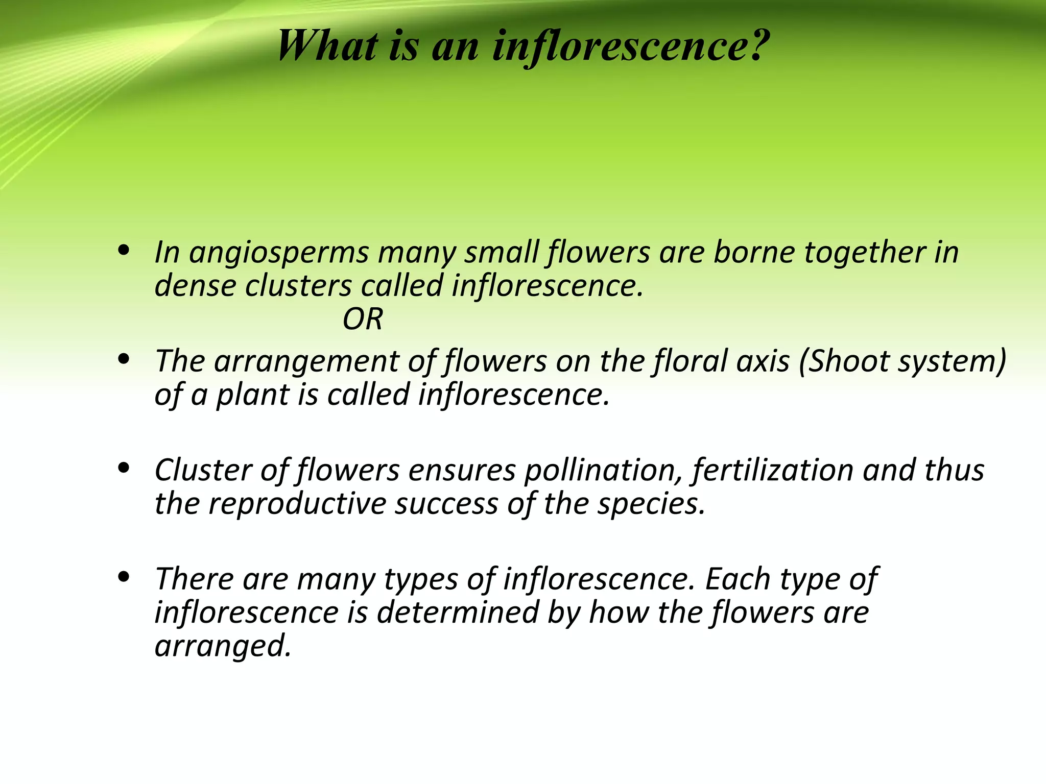 Inflorescences & Its Types | PPT