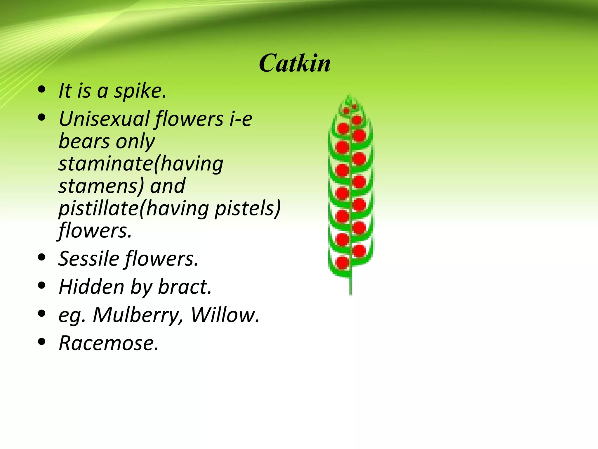 Inflorescences & Its Types | PPT