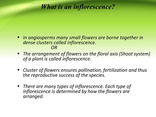Inflorescences & Its Types | PPT