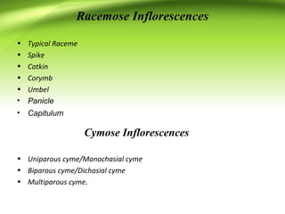 Inflorescences & Its Types | PPT