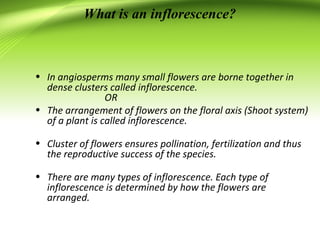 Inflorescence Types