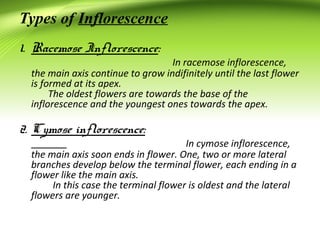 Inflorescence Types