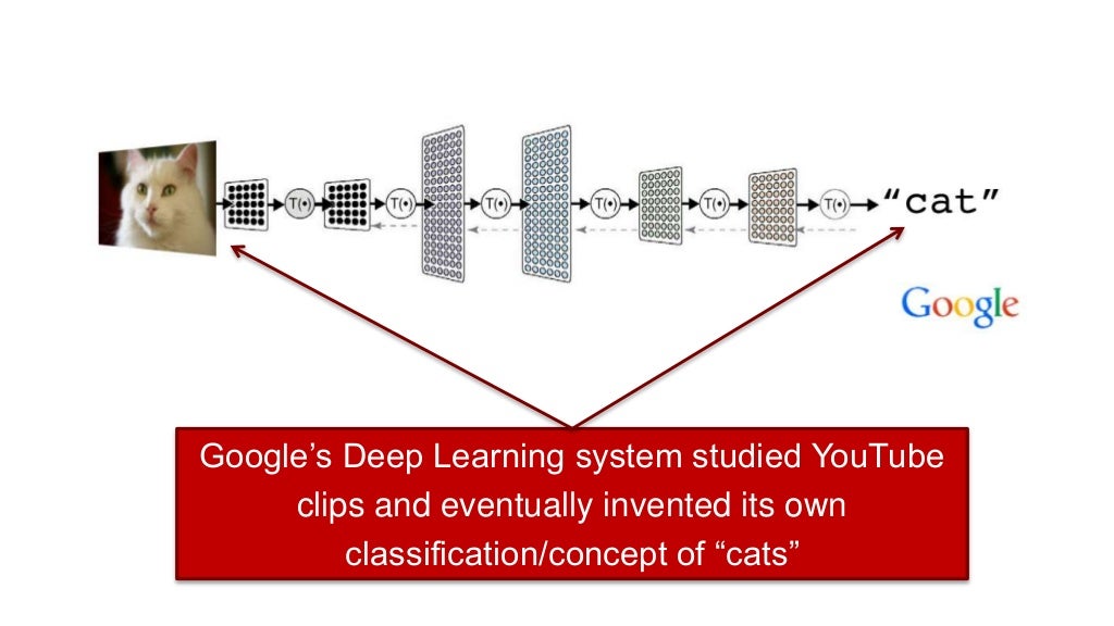 Google’s Deep Learning system studied