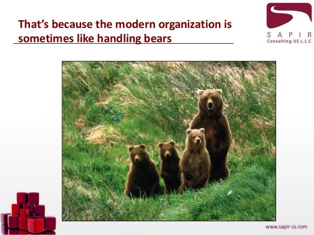 Influence and leadership convincing the bear keynote