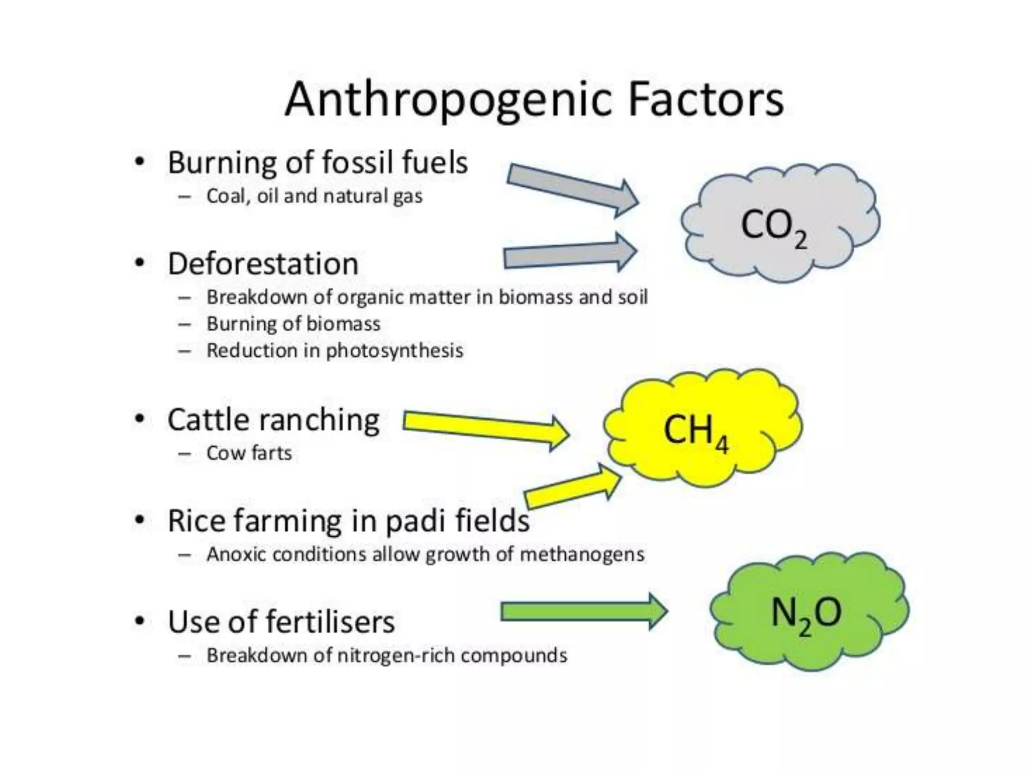 Influence of anthropogenic factors on the cvs | PPTX | Heart and ...