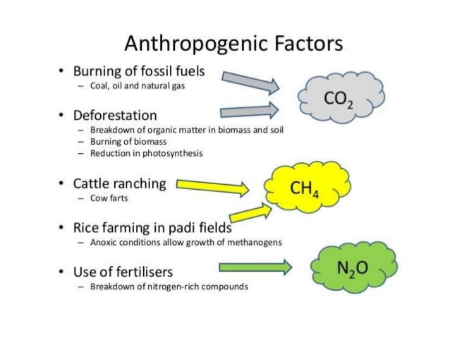 Influence of anthropogenic factors on the cvs
