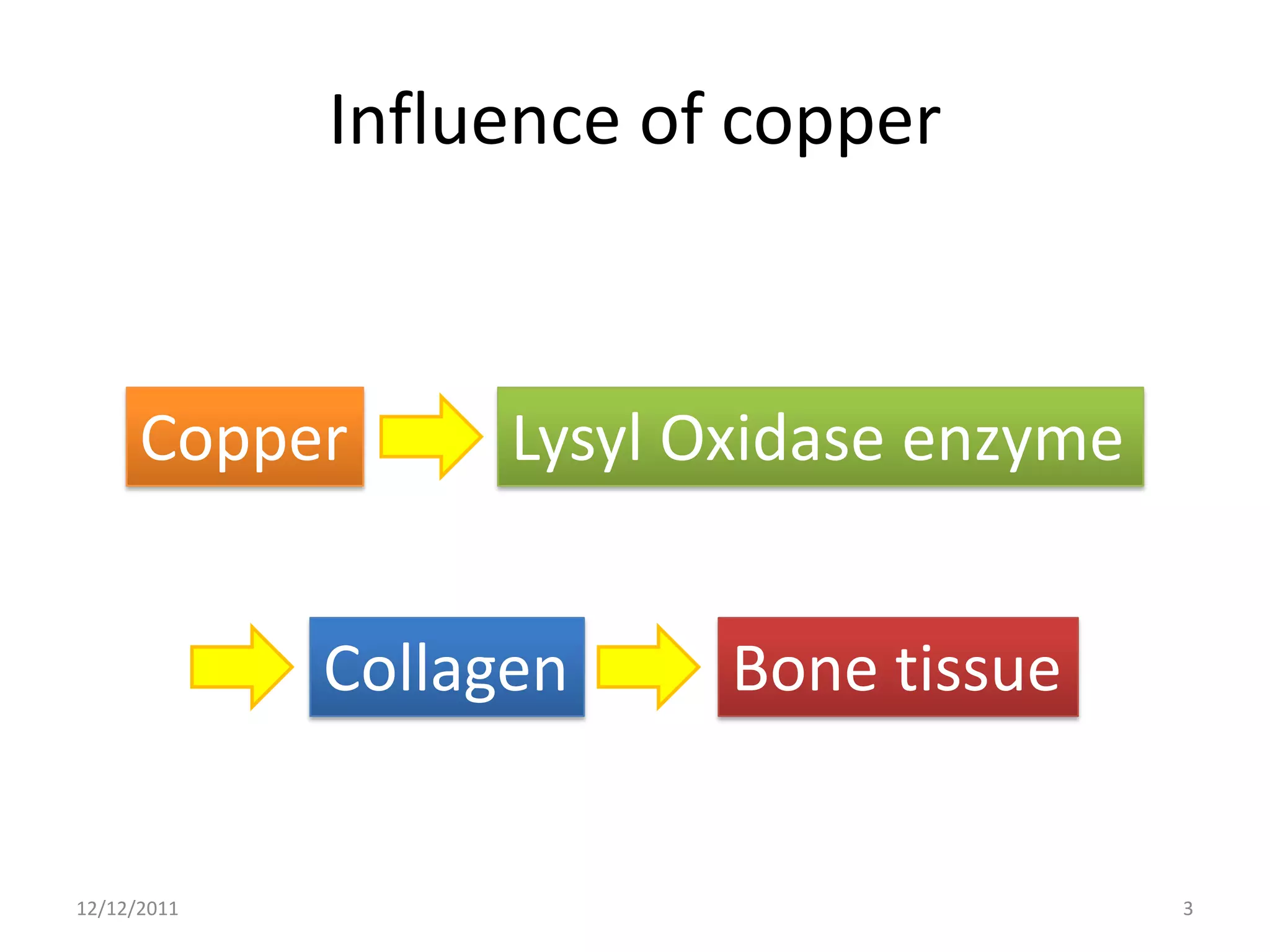 Influence of copper absorption on osteoporosis | PPT