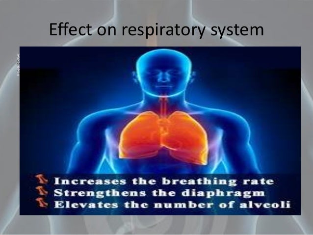 Exercise Effect On Respiratory System – DEIYSP
