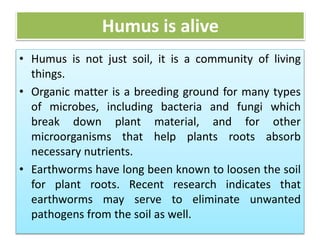 Influence of humus in soil physical properties | PPT