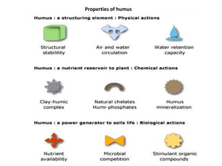 Influence of humus in soil physical properties | PPT