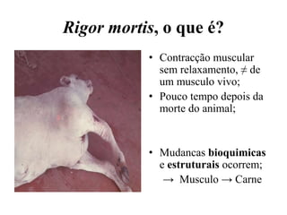 Rigor Mortis Animal