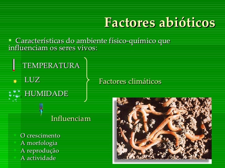 Influência dos Factores Abióticos