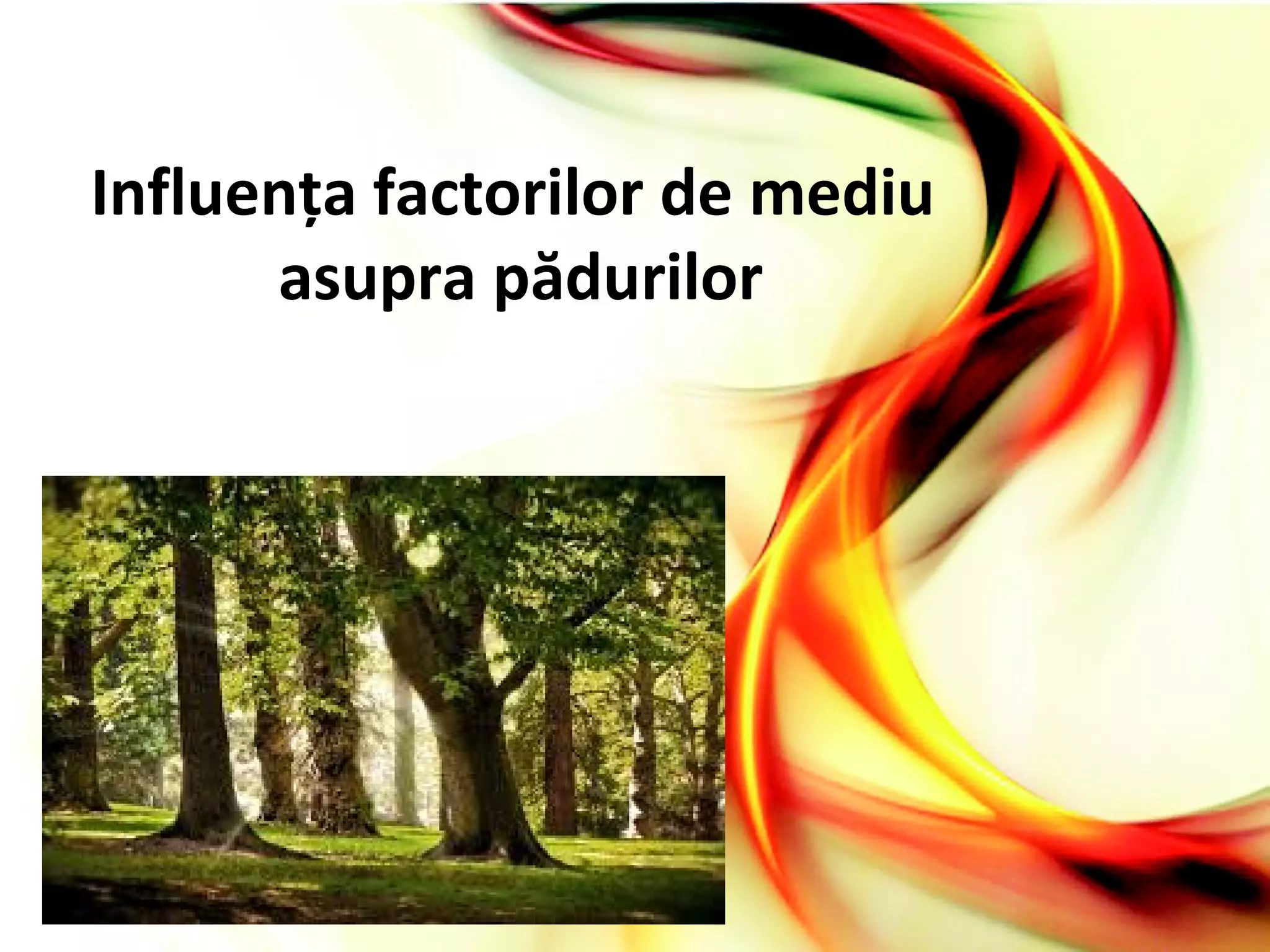 Influenta factorilor de_mediu_asuprapadurilor | PPT