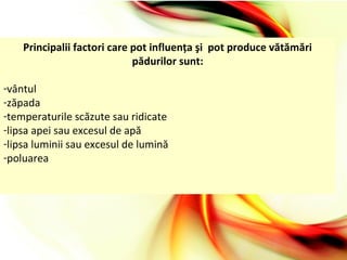 Influenta factorilor de_mediu_asuprapadurilor | PPT