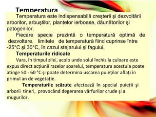 Influenta factorilor de_mediu_asuprapadurilor | PPT