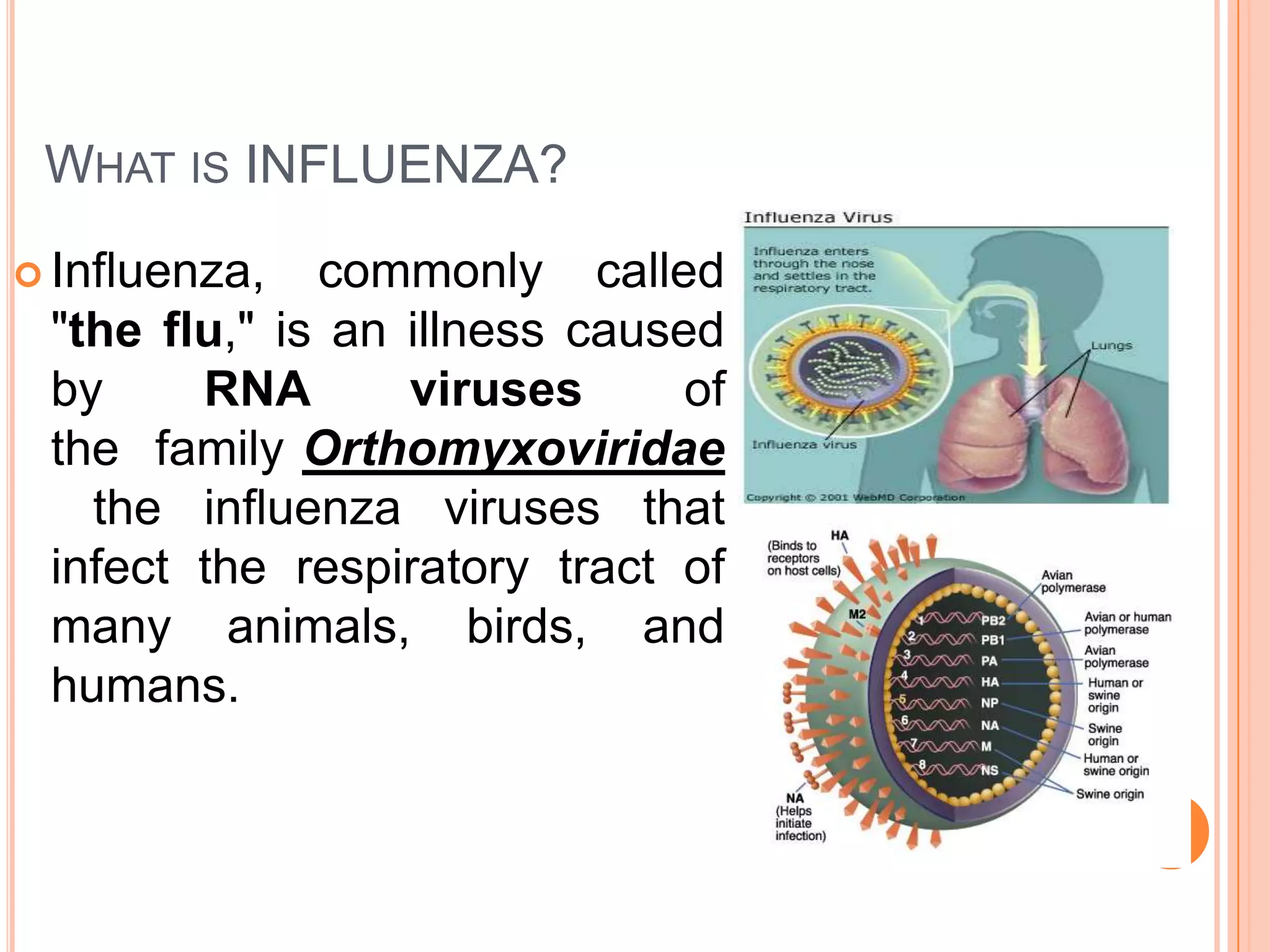 Influenza | PPTX