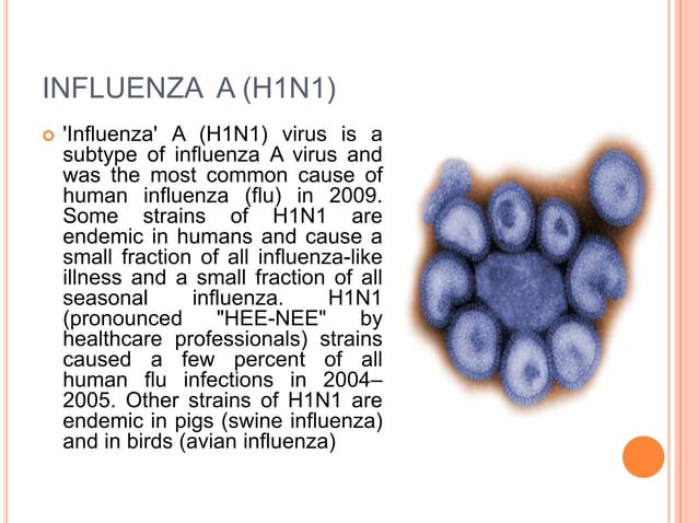 Influenza | PPTX | Cold and Flu | Diseases and Conditions