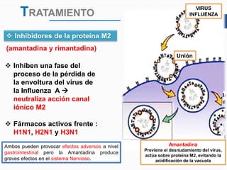 Influenza | PPTX