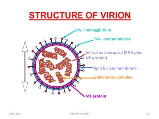 Influenza | PPTX