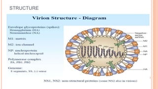 Influenza | PPTX