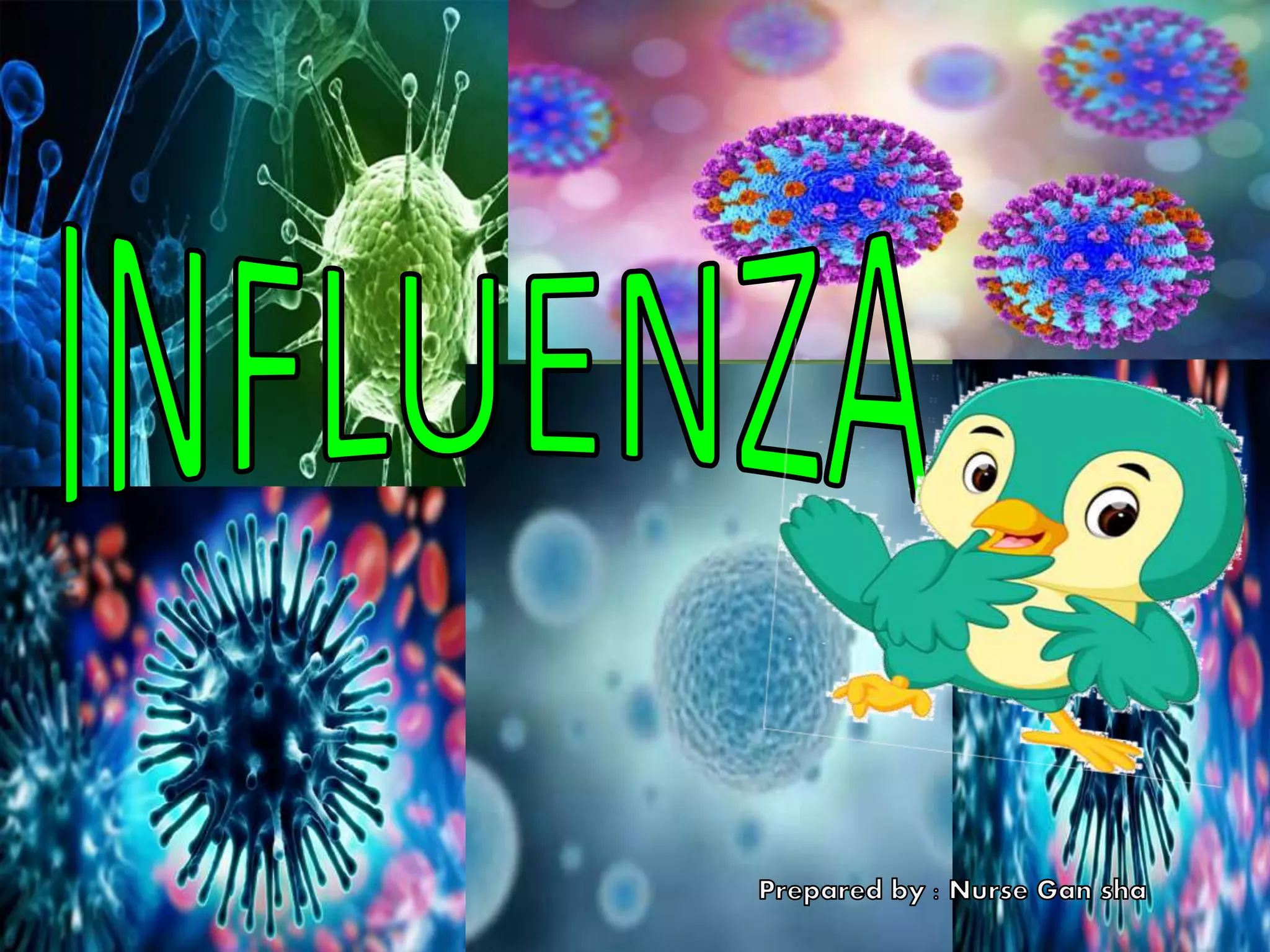Influenza | PPSX | Cold and Flu | Diseases and Conditions