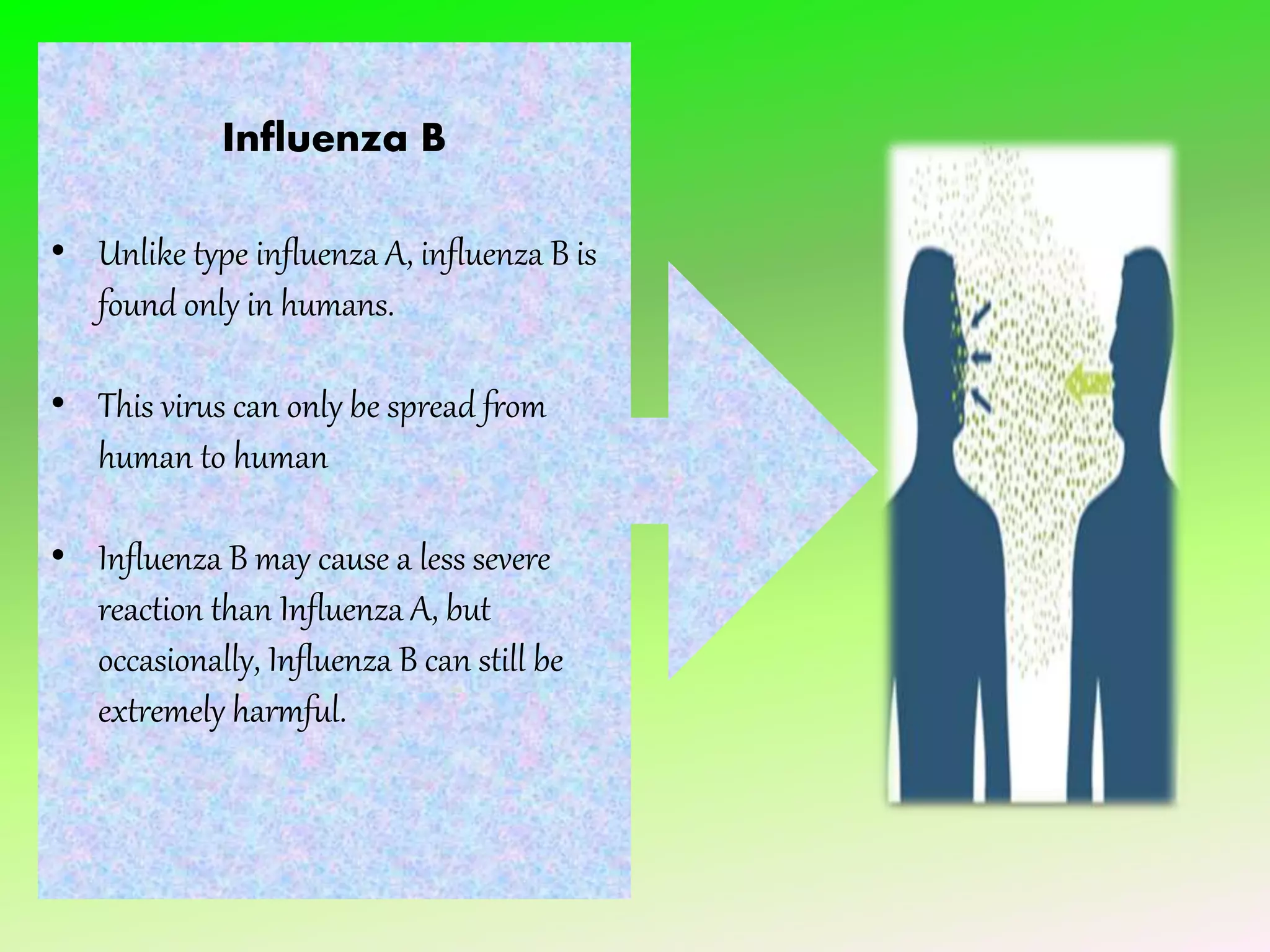 Influenza | PPSX