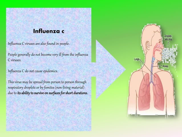 Influenza | PPSX | Cold and Flu | Diseases and Conditions