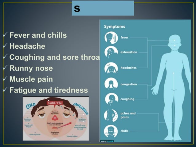 Influenza, Department of Physiotherapy, SHUATS, Prayagraj | PPT