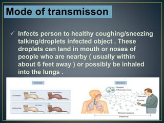 Influenza, Department of Physiotherapy, SHUATS, Prayagraj | PPTX