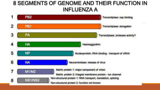 TOPIC PRESENTATION ON INFLUENZA - DIAGNOSIS AND MANAGEMENT | PPTX