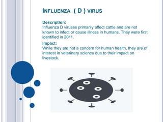Influenza presentation its diognosis, treatments.pptx