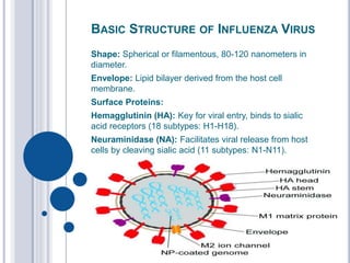 Influenza presentation its diognosis, treatments.pptx