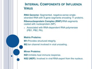 Influenza presentation its diognosis, treatments.pptx