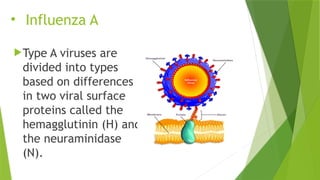 Influenza with very dengerous viruses.pptx