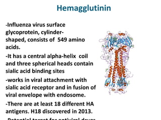Influenza(Virology) | PPTX