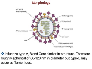 influenza-copy-BSC.pptx