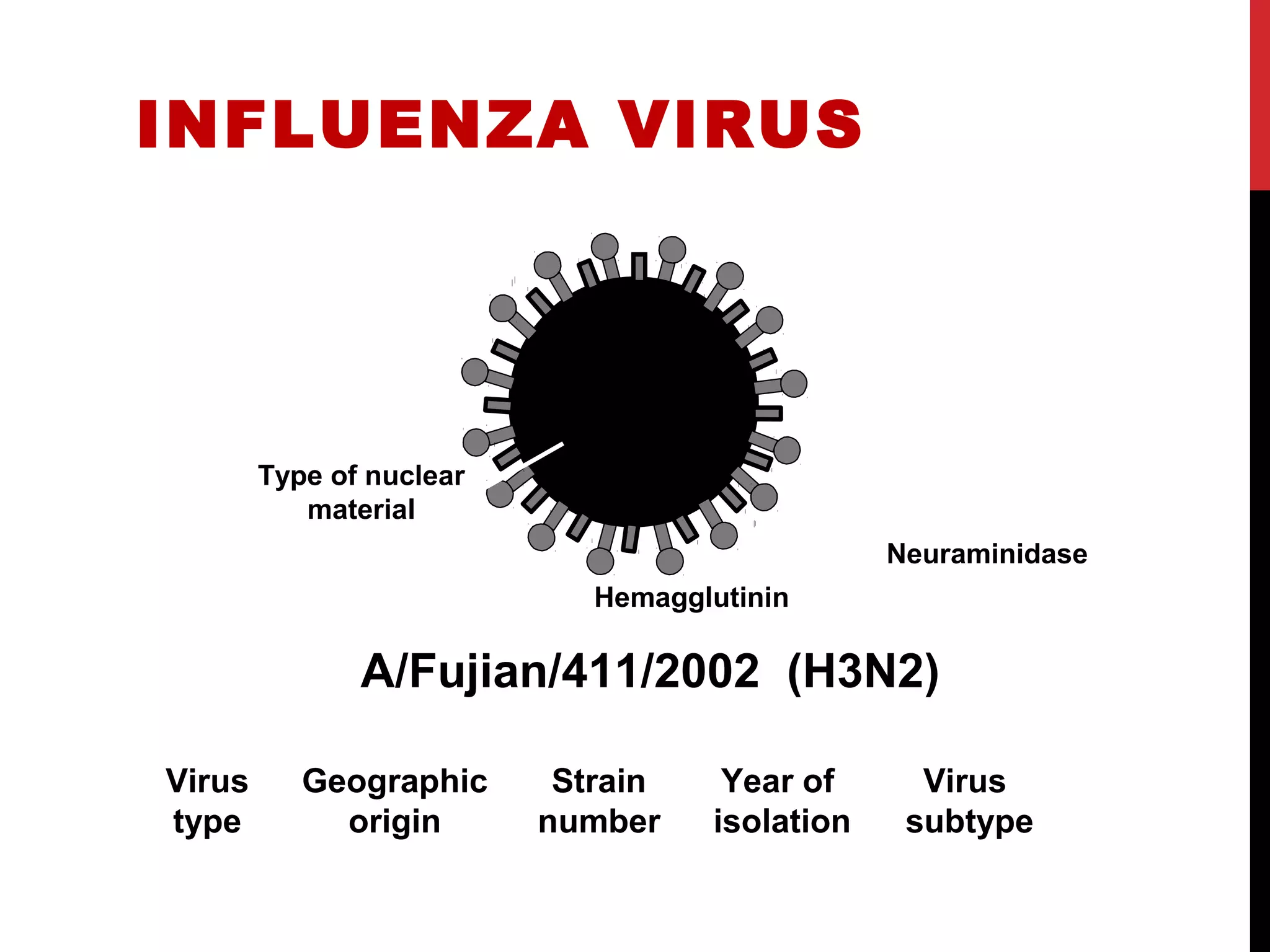 Influenza a emergency prepardness for healthcare facilities | PPT
