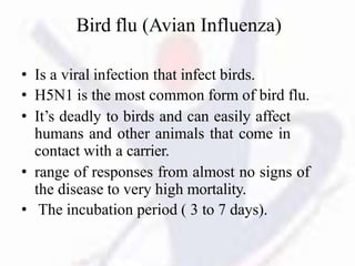 Influenza, Bird Flu, SARS & Swine Flu.pptx