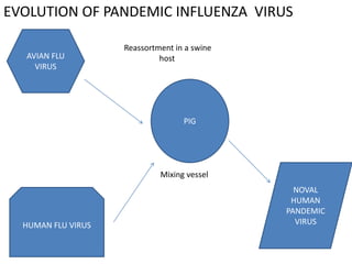 influenza clinical mani.pptx for educational purposes | PPTX