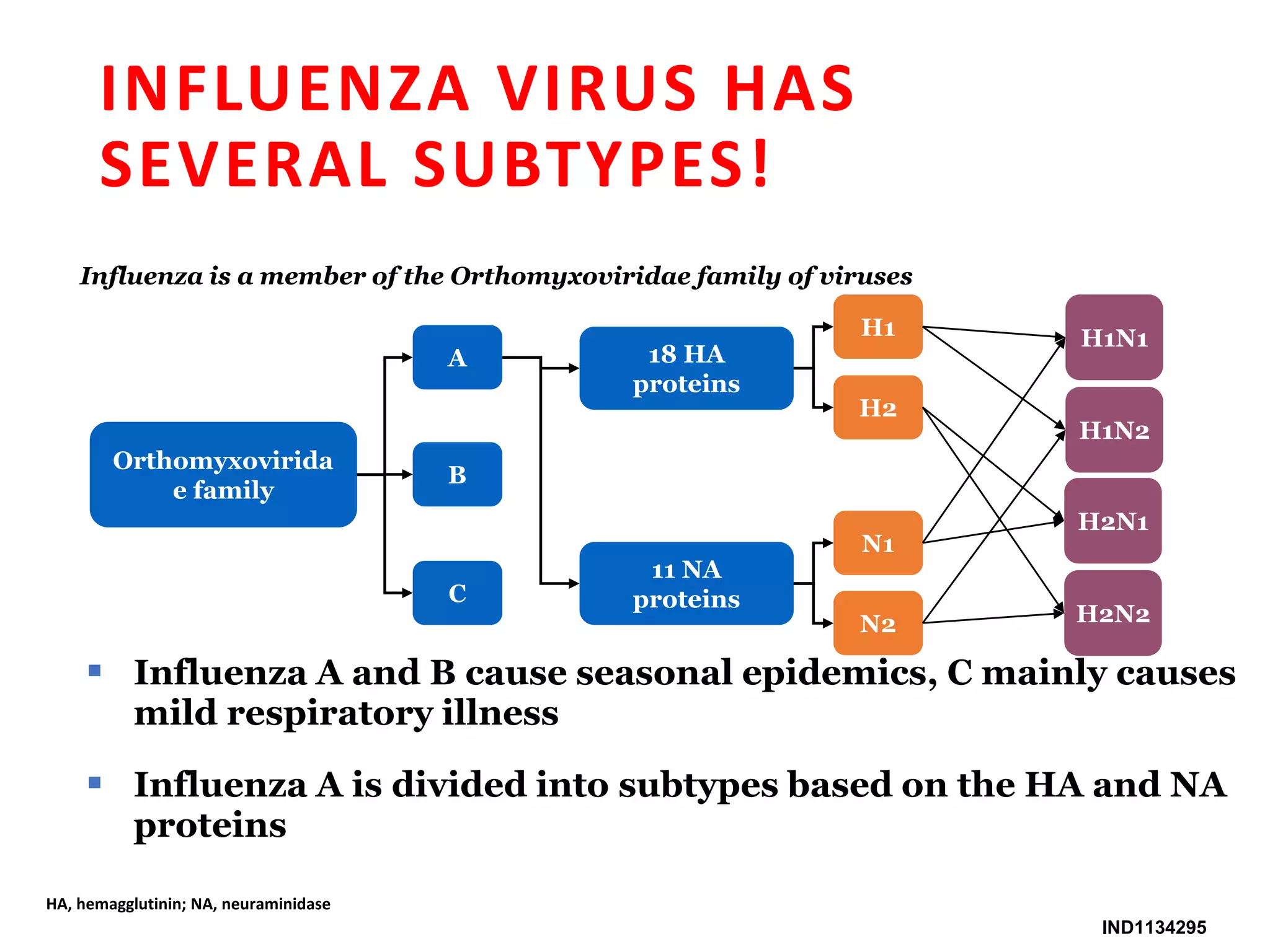 Flu Vaccination Dr Sharda Jain | PPTX