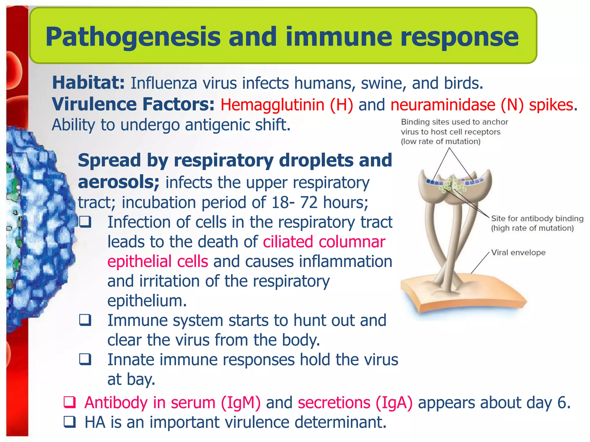 Influenza | PDF