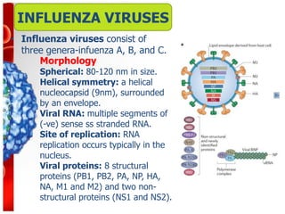 Influenza | PDF