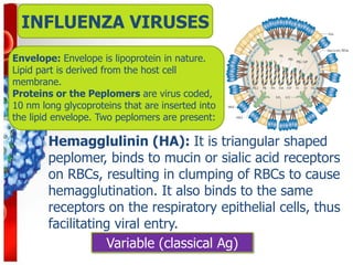 Influenza | PDF