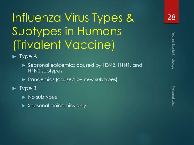 Influenza Secrets Do You Know Ppt